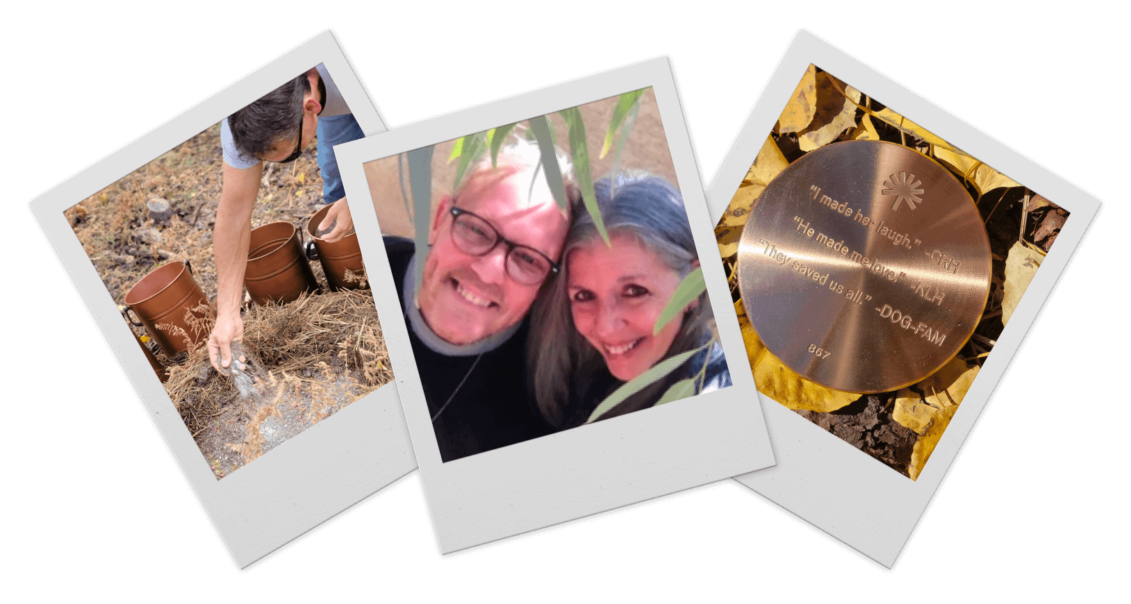Better Place Forests | Memorial Trees for Cremation Ashes