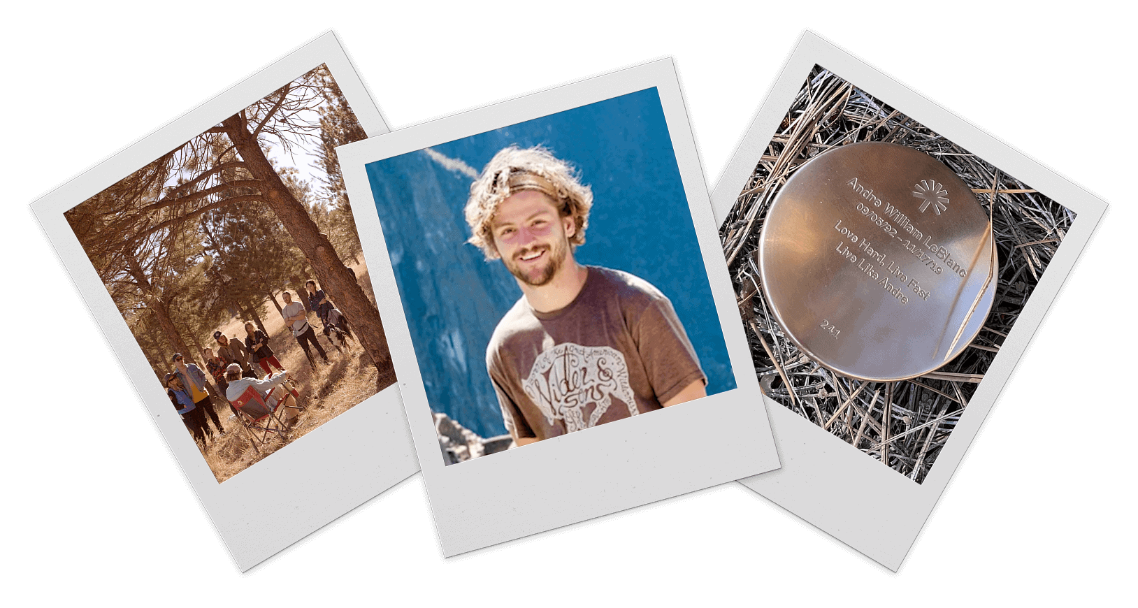 Better Place Forests Memorial Trees For Cremation Ashes